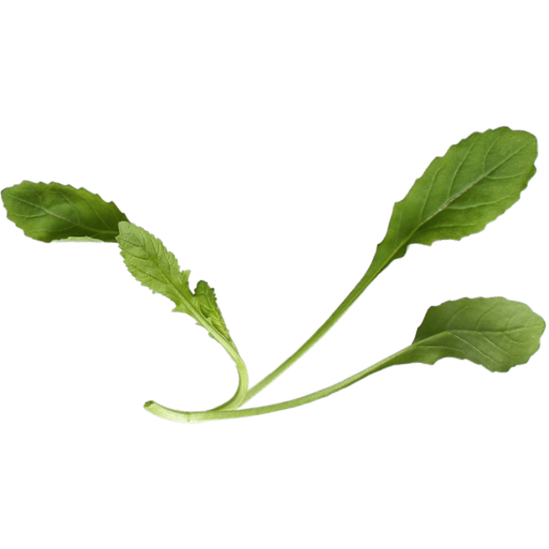 Spezialitäten: Keltenhof